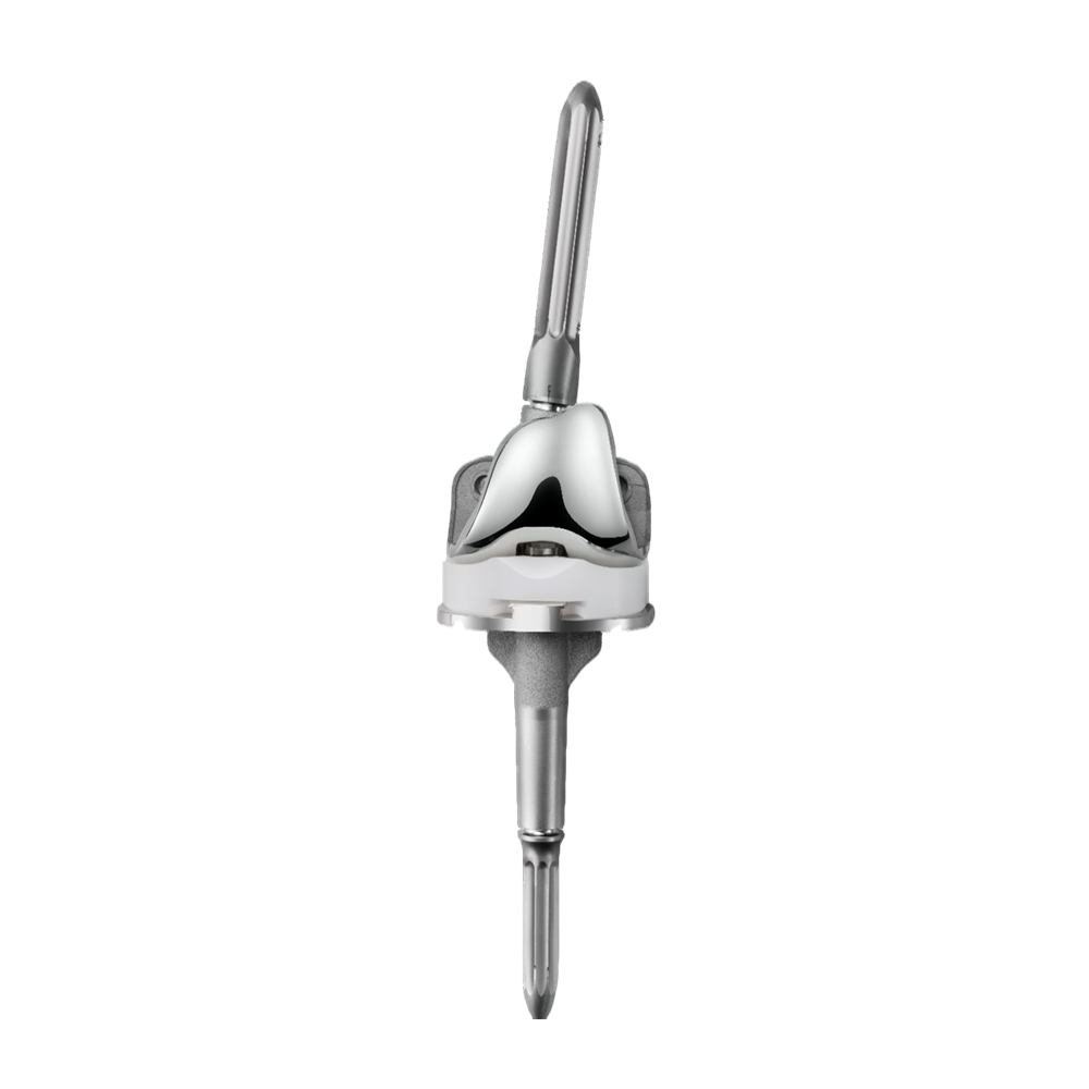 Hinge Total Knee System Manufacturer - CZMEDITECH